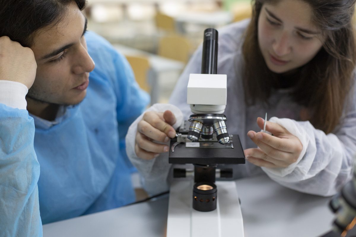 MCC’s Georgia Compact II: Driving Compact Sustainability One Year After ...