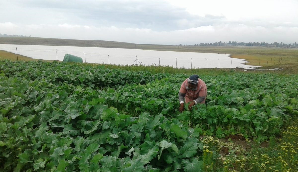 With MCC Support, 10-Year Local Advocacy Effort for Women’s Rights on ...